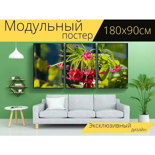 Модульный постер "Цветы, красный, цвести" 180 x 90 см. для интерьера