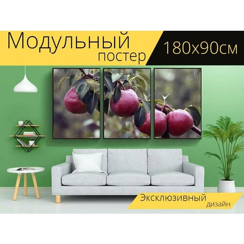 Модульный постер "Груша, фрукты, груши" 180 x 90 см. для интерьера