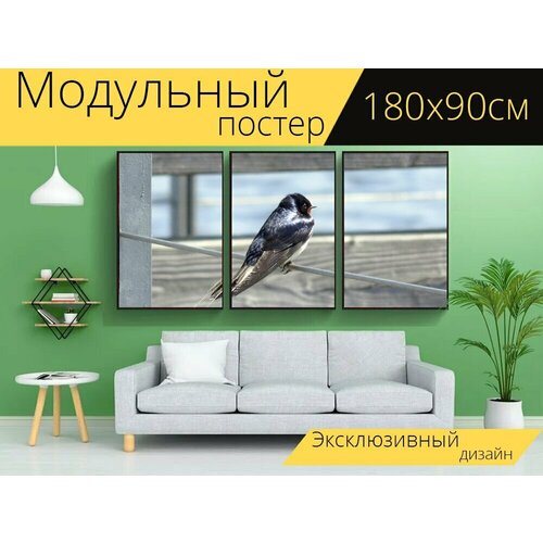Модульный постер "Ласточка, птица, глотать" 180 x 90 см. для интерьера