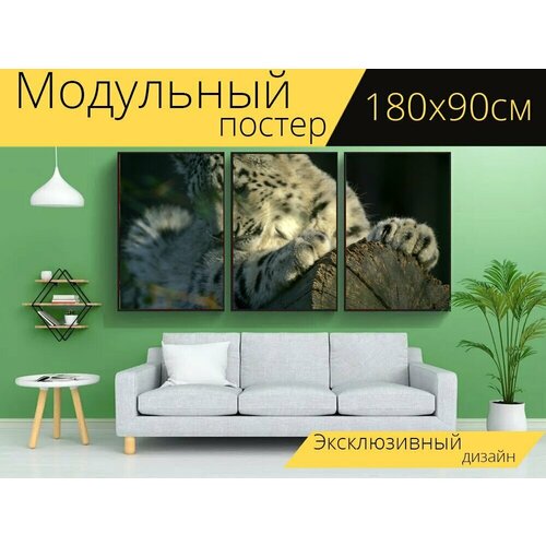 Модульный постер "Снежный барс, хищники, дикий кот" 180 x 90 см. для интерьера