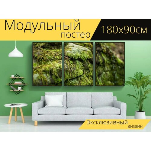 Модульный постер "Мох, камень, пейзаж" 180 x 90 см. для интерьера