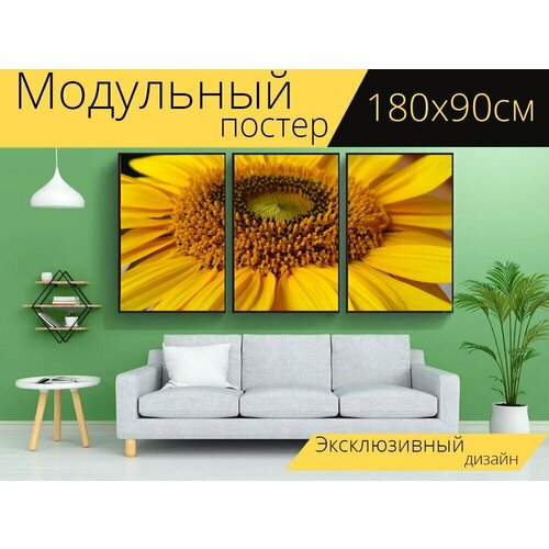 Модульный постер "Подсолнух, желтый, желтый цветок" 180 x 90 см. для интерьера