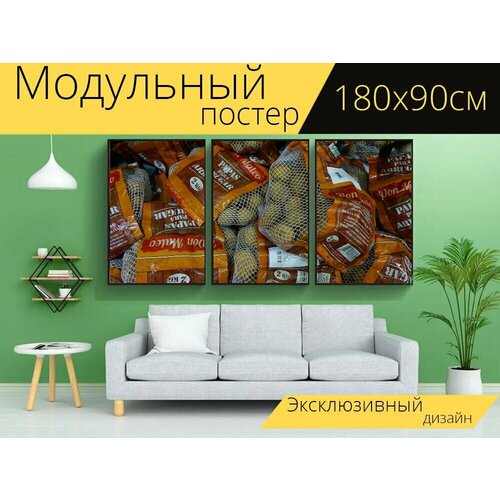 Модульный постер "Картошка, морщинистый картофель, канарский морщинистый картофель" 180 x 90 см. для интерьера