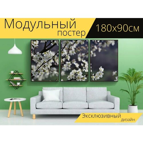 Модульный постер "Цветение вишни, цветы, весна" 180 x 90 см. для интерьера