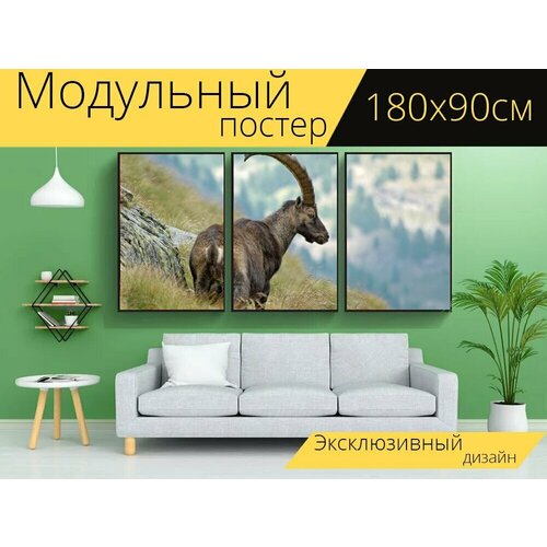 Модульный постер "Горный козел, capra ibex, рога" 180 x 90 см. для интерьера