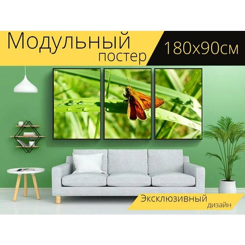 Модульный постер "Животные, беспозвоночные, насекомое" 180 x 90 см. для интерьера