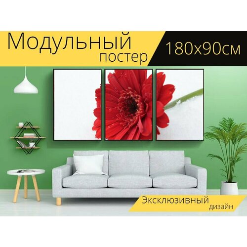 Модульный постер "Гербера, красный, цветок" 180 x 90 см. для интерьера