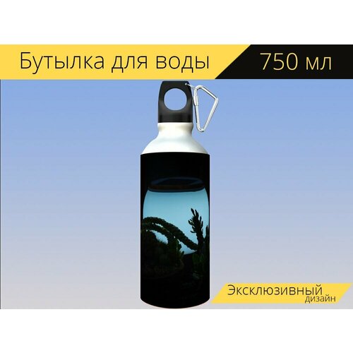Бутылка фляга для воды "Напольная лампа, лунная лампа, растения" 750 мл. с карабином и принтом