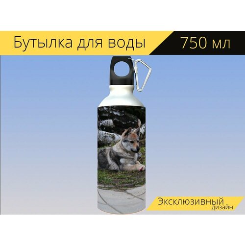 Бутылка фляга для воды "Собака, лежащая собака, волк" 750 мл. с карабином и принтом