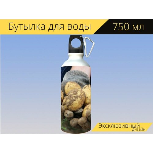 Бутылка фляга для воды "Биография, картошка, поле" 750 мл. с карабином и принтом