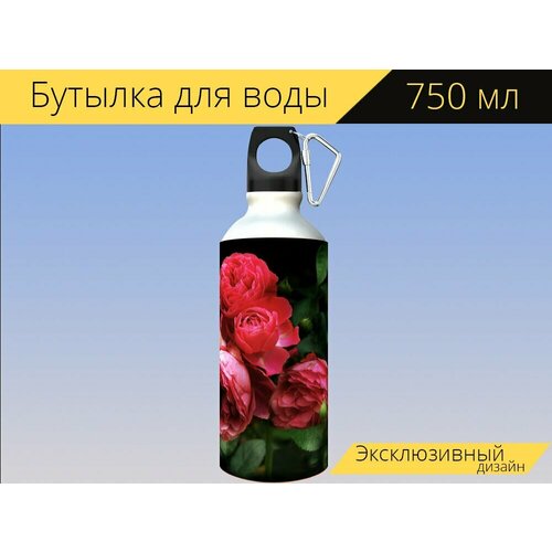 Бутылка фляга для воды "Леонардо, роза, да винчи" 750 мл. с карабином и принтом