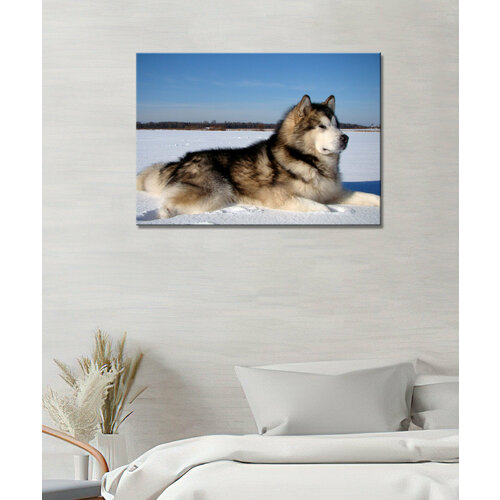 Картина для интерьера аляскинский маламут, собака, порода (3) 20х30