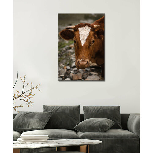 Картина - Корова, коричневая корова, корова на пастбище, бык (11) 50х70
