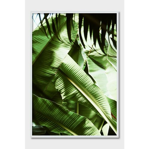 Постер для интерьера Postermarkt, 30х40 см в белой рамке, декор на стену Растение #76