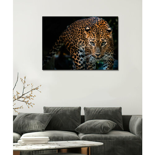 Картина/Ягур/Ягуар в джунглях/Ягуар на дереве/Черный ягуар/ - Ягуар (7) 60х80