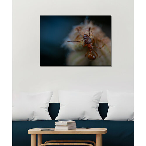 Картина - Муравей, муравей макро, муравей близко (11) 40х60