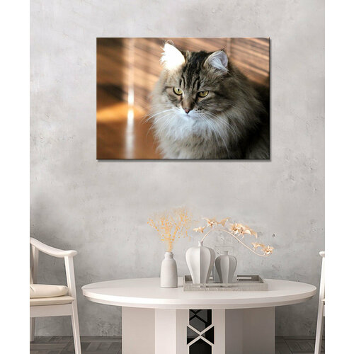 Картина - кошка, сибирская кошка, домашняя кошка, ласковая кошка, полудлинношёрстная кошка, кот (102) 40х60