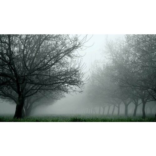 Картина на холсте 60x110 Альянс Лес "Дерево в тумане" на подрамнике / интерьер/ декор