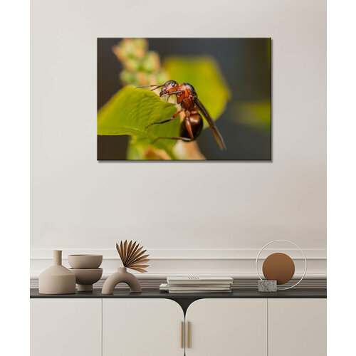 Картина - Муравей, муравей макро, муравей близко (30) 50х70