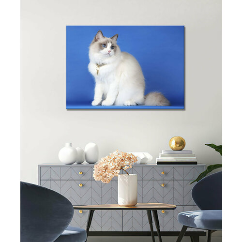 Картина - кошка, рэгдолл, домашняя кошка, ласковая кошка, кот (260) 60х80