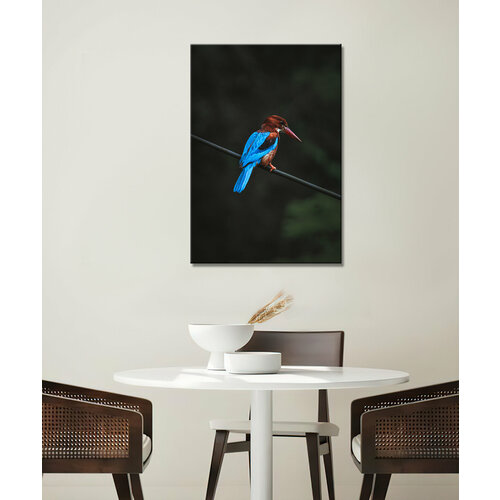 Картина -Зимородок, зимородок красноносый (1) 30х40