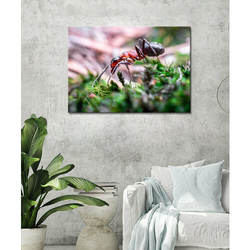 Картина -Муравей, муравей макро, муравей близко (33) 60х80
