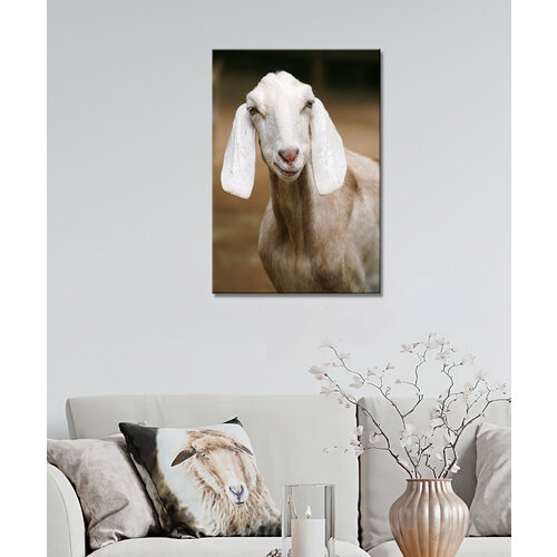 Картина - Коза, козел, безрогая коза, домашняя коза (14) 40х60