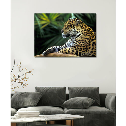 Картина/Ягур/Ягуар в джунглях/Ягуар на дереве/Черный ягуар/ - Ягуар (8) 30х40