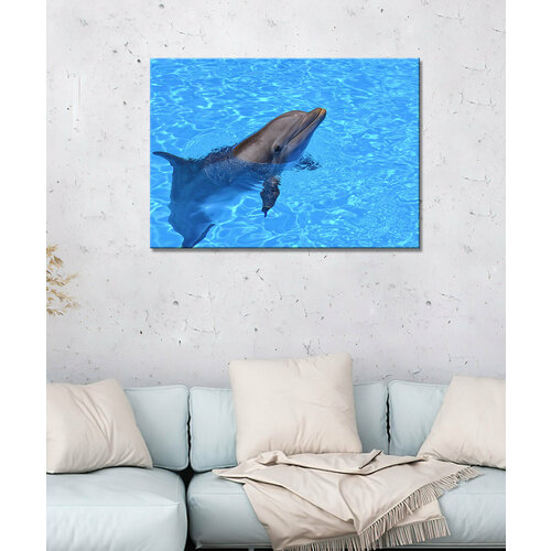Картина - дельфин, экзотический дельфин, живая природа, дельфин в море (17) 30х40