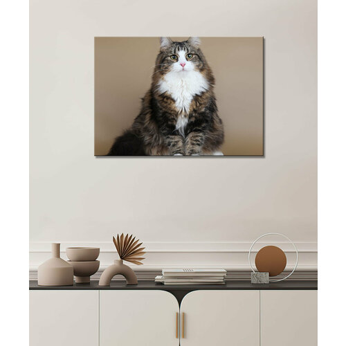 Картина - кошка, сибирская кошка, домашняя кошка, ласковая кошка, полудлинношёрстная кошка, кот (107) 20х30