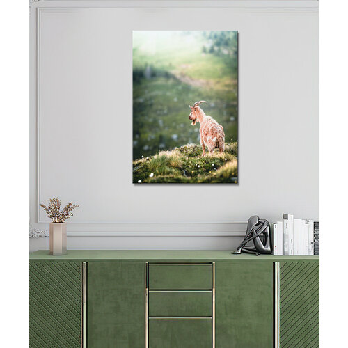 Картина - Козел, коза, дикий козел, рогатый козел, горный козел (25) 50х70