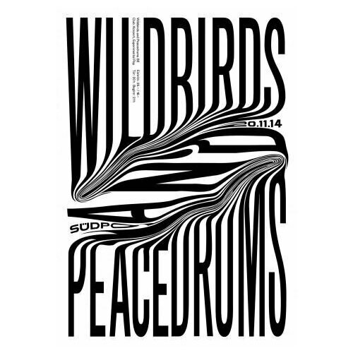 Плакат, постер на холсте Wildbirds Peacedrums-Дикие птицы и мирные барабаны. Размер 30 х 42 см