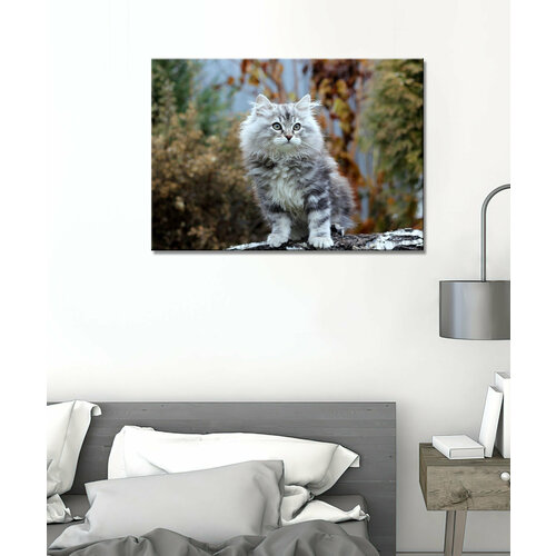 Картина - кошка, сибирская кошка, домашняя кошка, ласковая кошка, полудлинношёрстная кошка, кот (118) 50х70