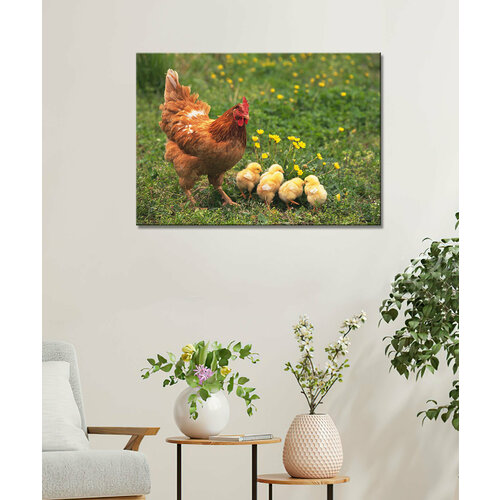 Картина - Курица, курицы, курочка, петух, петухи, красивые породы куриц (2) 20х30