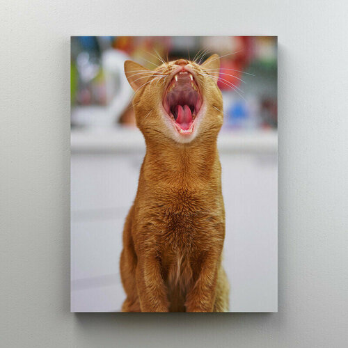 Интерьерная картина на холсте "Рыжий абиссинский кот", размер 30x40 см