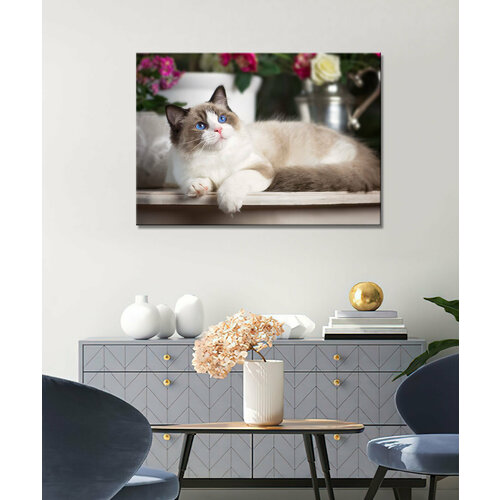Картина - кошка, рэгдолл, домашняя кошка, ласковая кошка, кот (253) 30х40