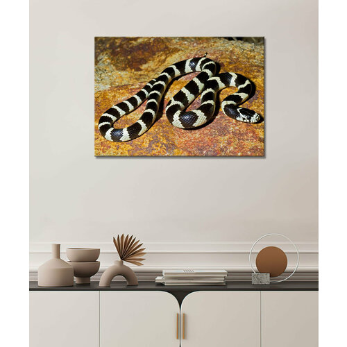 Картина - змея, королевская змея, чёрная змея, белые полосы (43) 20х30