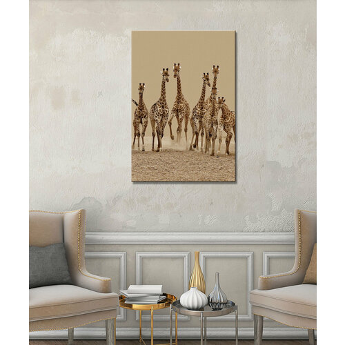 Картина - Жирафы, много жирафов, семья жирафов 50х70