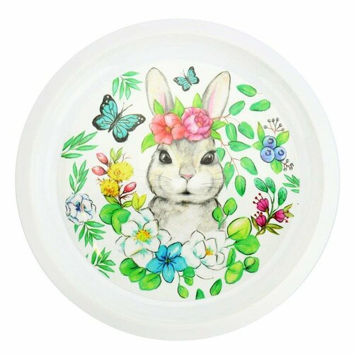 Тарелка ND Play пластиковая с декором "Кроль-Вилль" Цветочная Зая, D 215 мм, белый (305631)