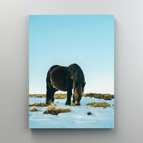 Интерьерная картина на холсте "Домашняя лошадь", размер 45x60 см