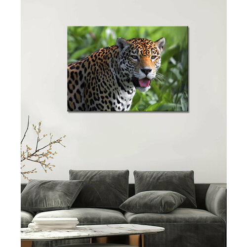 Картина/Ягур/Ягуар в джунглях/Ягуар на дереве/Черный ягуар/ - Ягуар (15) 50х70