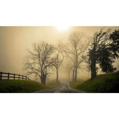 Картина на холсте 60x110 Альянс Лес "Утро дорога туман пейзаж" на подрамнике / интерьер/ декор