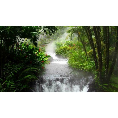 Картина на холсте 60x110 Альянс Лес "Влажные тропические леса" на подрамнике / интерьер/ декор