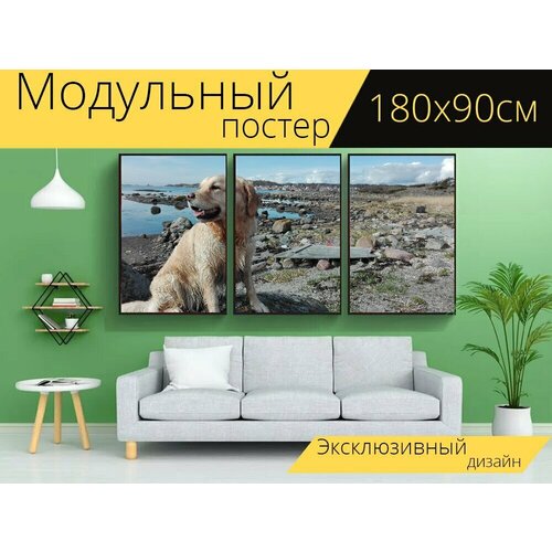 Модульный постер "Лабрадор, собака, воды" 180 x 90 см. для интерьера