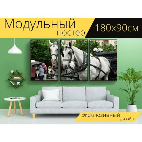 Модульный постер "Лошадь, животное, верховая езда" 180 x 90 см. для интерьера