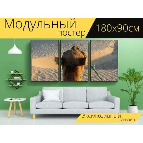 Модульный постер "Песок, сахара, верблюд" 180 x 90 см. для интерьера