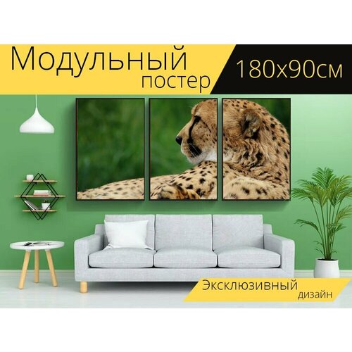 Модульный постер "Гепард, кошка, животное" 180 x 90 см. для интерьера