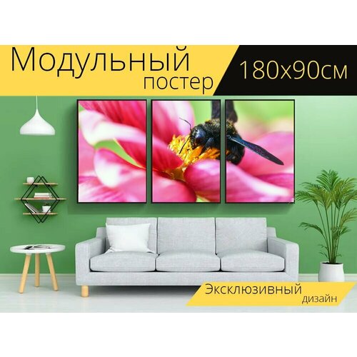 Модульный постер "Пчела, цветочная пыльца, опыление" 180 x 90 см. для интерьера