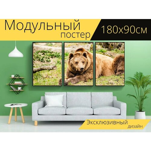 Модульный постер "Бурый медведь, нести, хищник" 180 x 90 см. для интерьера