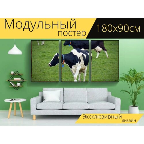 Модульный постер "Корова, коровье молоко, бычий" 180 x 90 см. для интерьера